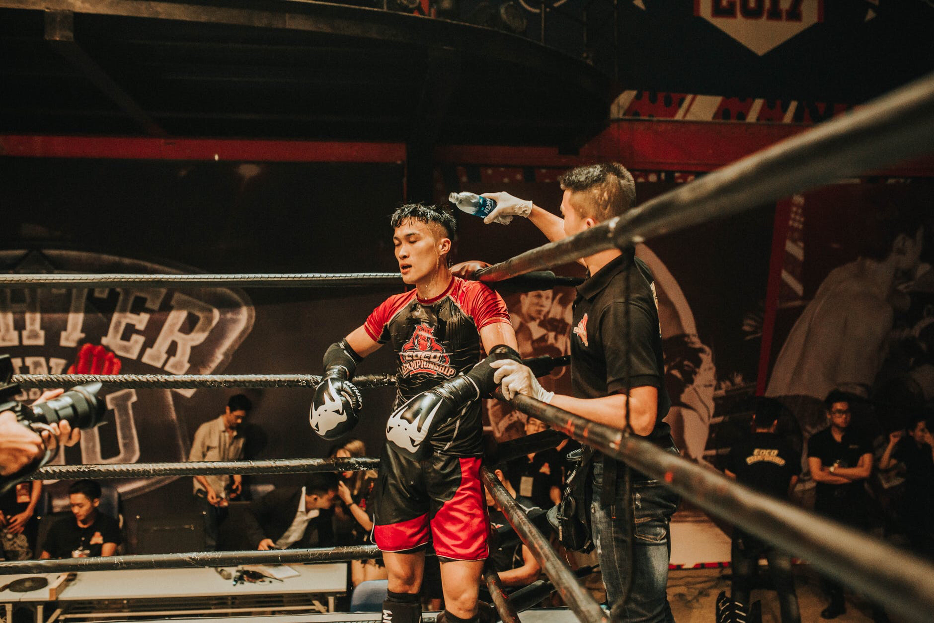 The Battle Against Cancer- Who’s in the Ring? – LahLa – Rubble Blossom ...